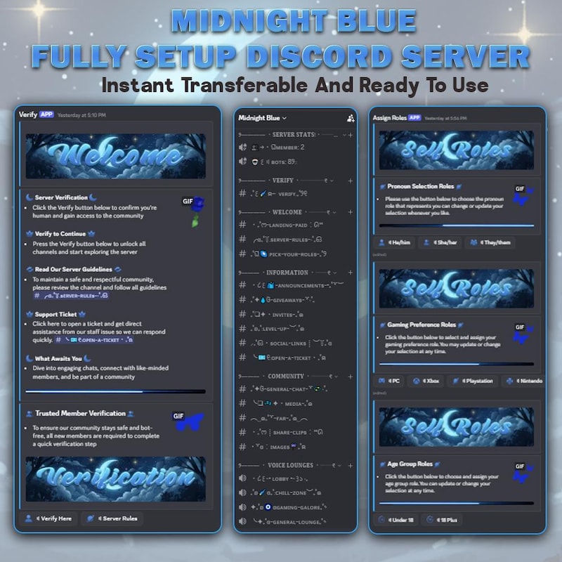 Aesthetic Discord Server Templates - Etsy
