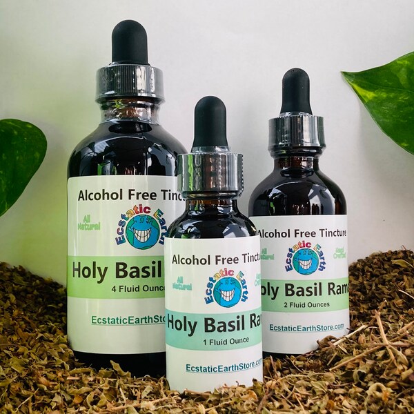 Holy Basil Plant - Etsy