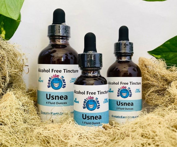 Usnea Tincture Alcohol Free Usnea Spp. Extract Handmade - Etsy