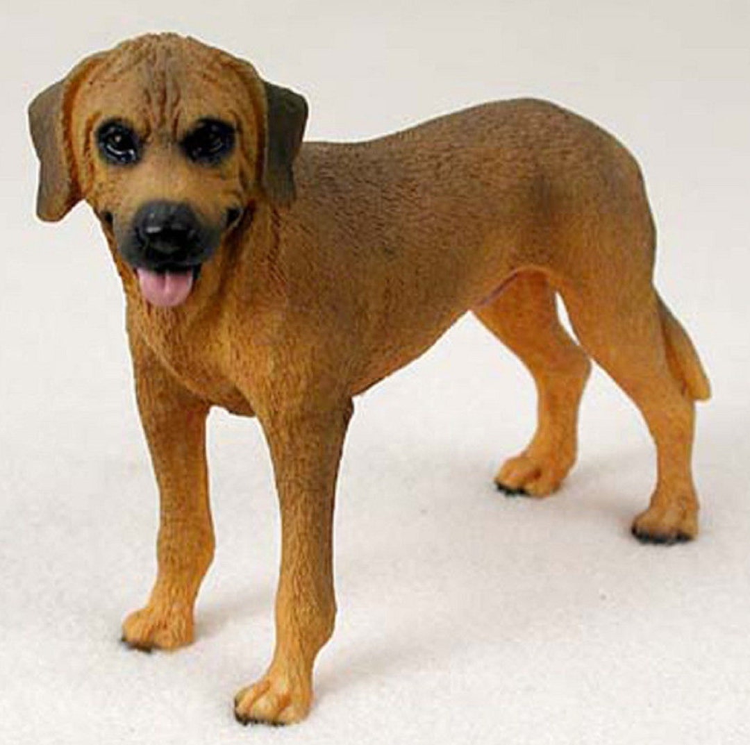 Custom Painted Rhodesian Ridgeback Dog Figurine INCLUDES FREE Dog Lover ...