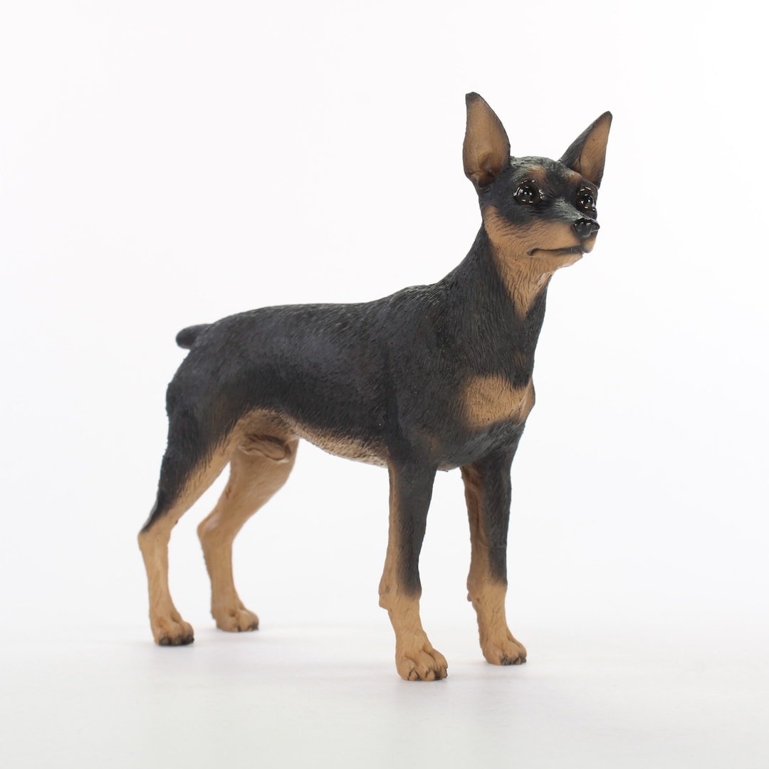 Custom Painted Miniature Pinscher Dog Figurine INCLUDES FREE Dog Lover ...