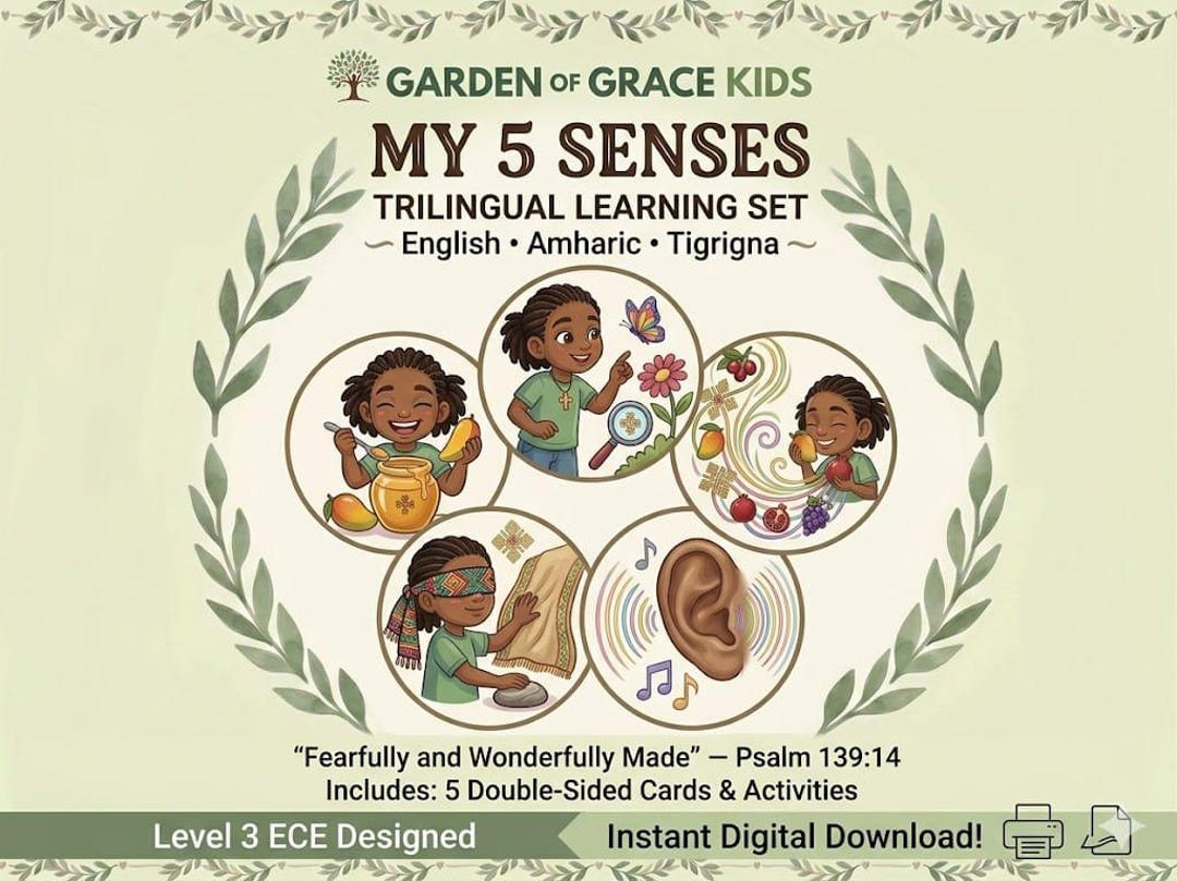 Bilingual 5 Senses Flashcards: English & Amharic – ECE Level 3 Designed ...