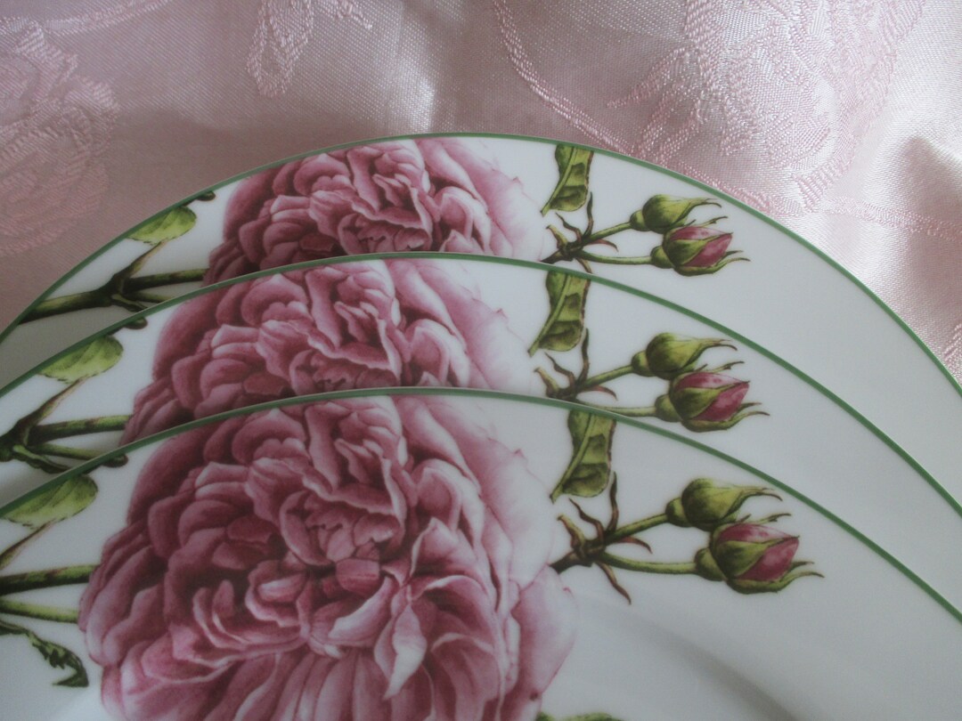 Spode - Roses Dinner Plates - Set of 3 - Etsy