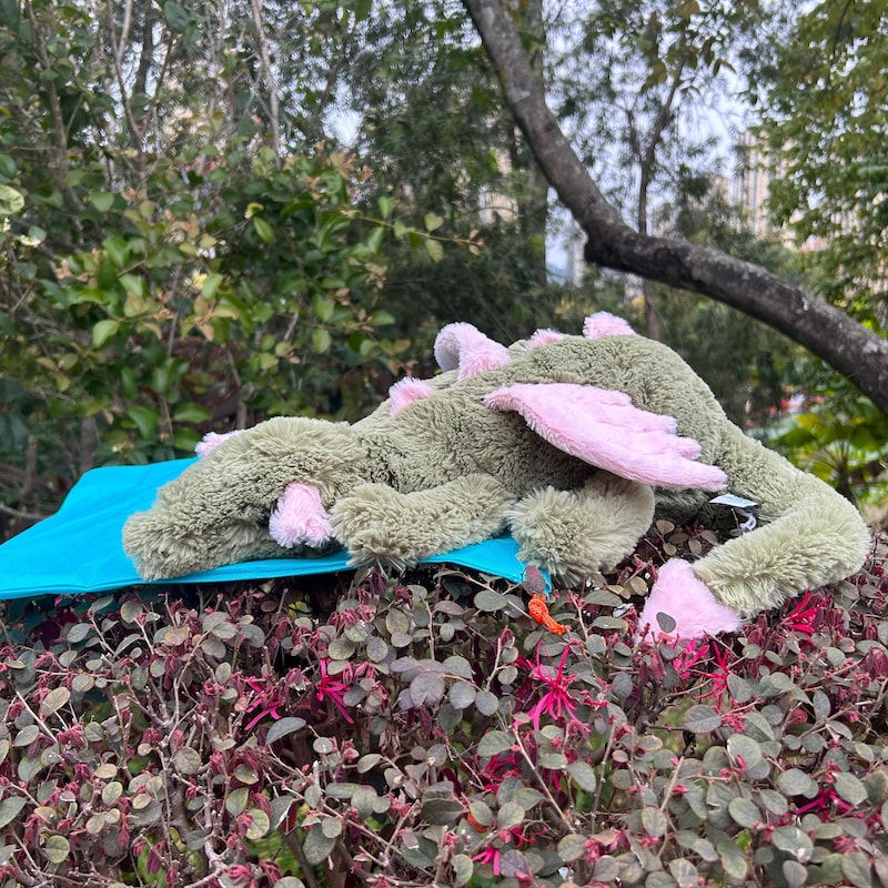 Jellycat Matcha Dragons - Etsy
