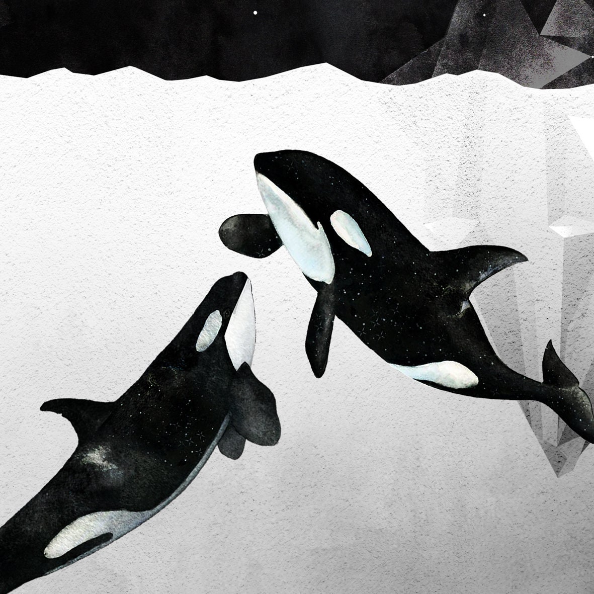 Orca Print Killer Whale Print Killer Whale Art Killer Whale | Etsy