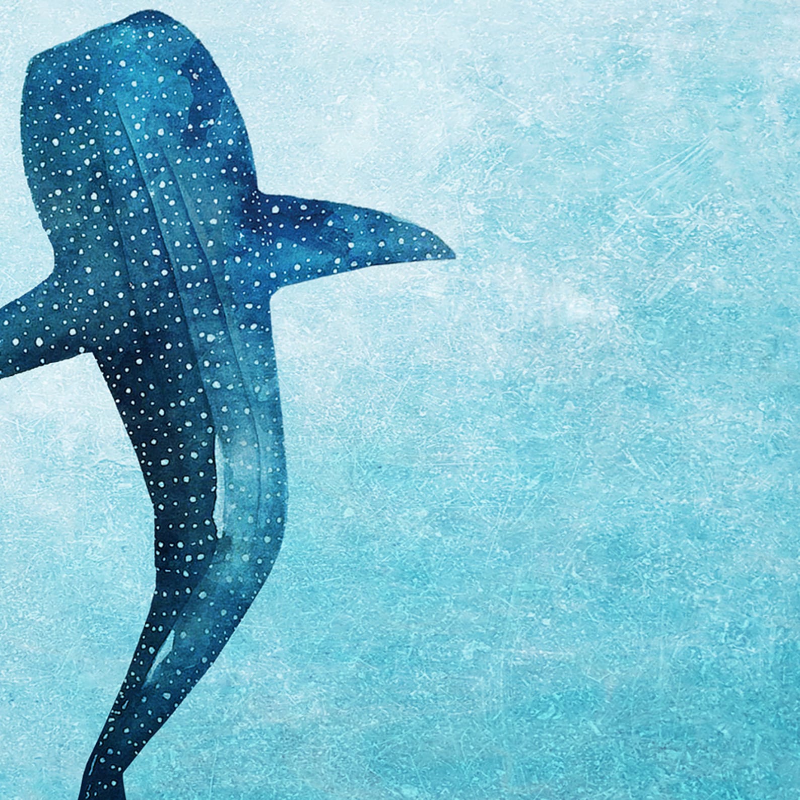 Whale Print Whale Shark Print Whales Ocean Art New Baby - Etsy