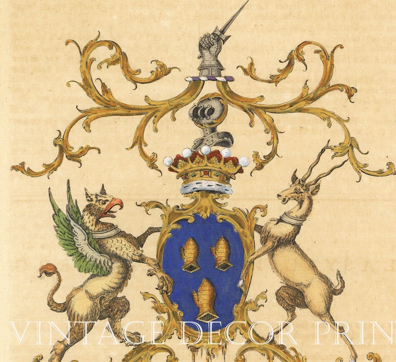 Vane Original 250 Year Old 1766-1769 Coat of Arms Heraldry Engraving ...