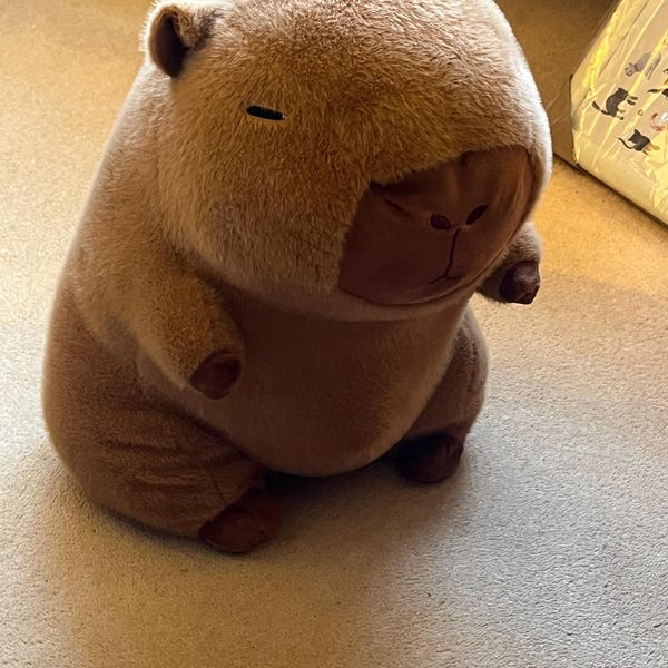 Capybara Cuddly Toys - Etsy UK
