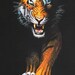 Animal Kingdom Animal Tiger Panel Cotton Quilt Fabric by Kaufman 24x44 ...