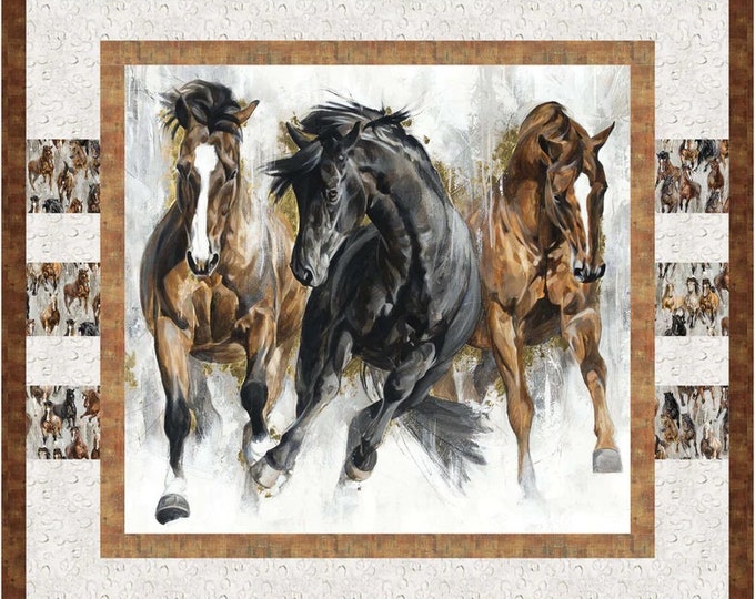 Racing Stripes Quilt Kit 60x79 Northcott Stallion Collection Confident ...