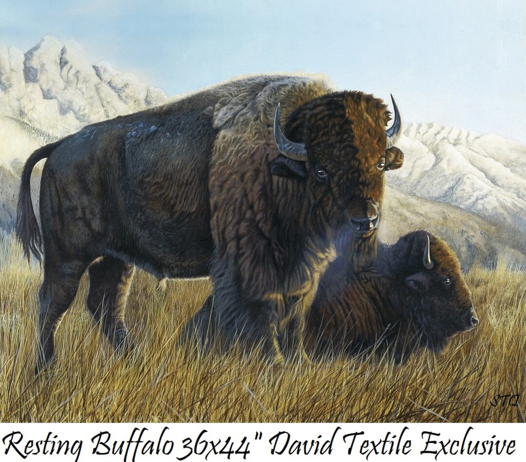 Resting Buffalo Bison Panel 36x44 Cotton Quilt Fabric by David Textiles ...