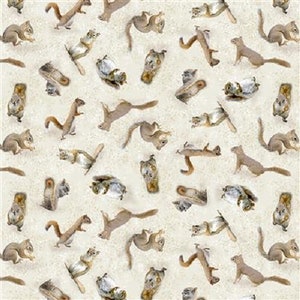 NUT CASE Quilt Kit 53x59 Features the Secret Life of Squirrels - Etsy