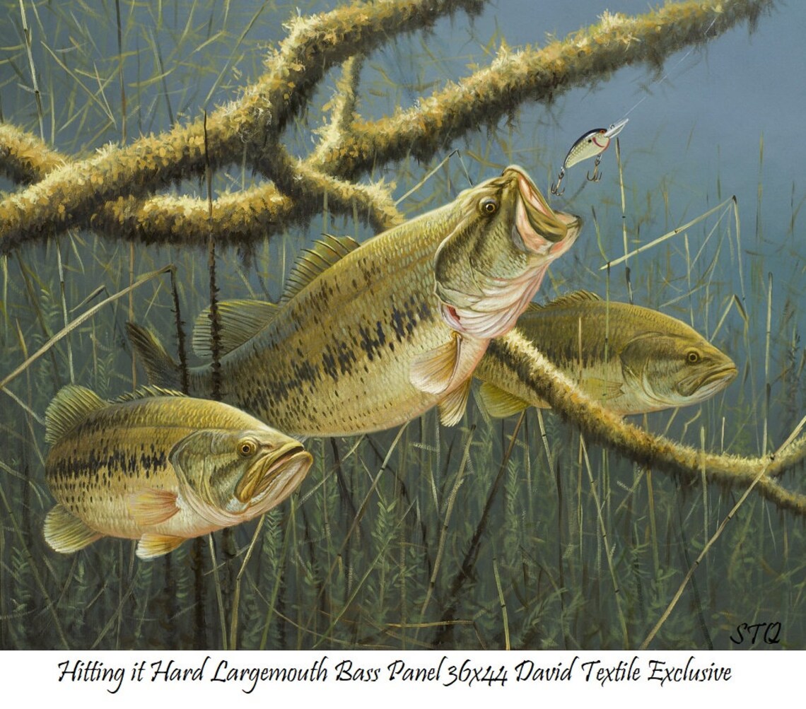 Resting Buffalo Bison Panel 36x44 Cotton Quilt Fabric by - Etsy