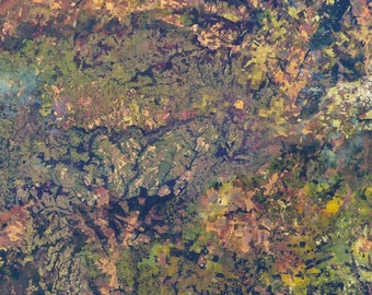 Earth Views Cotton Quilt Fabric Robert Kaufman Karen Nyberg AKWD-21142 ...