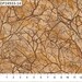 Windswept Cotton Quilt Fabric by Northcott by the Yard 24931-14 Ivory ...