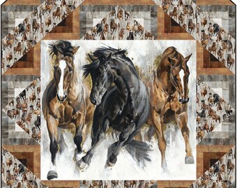 Racing Stripes Quilt Kit 60x79 Northcott Stallion Collection Confident ...