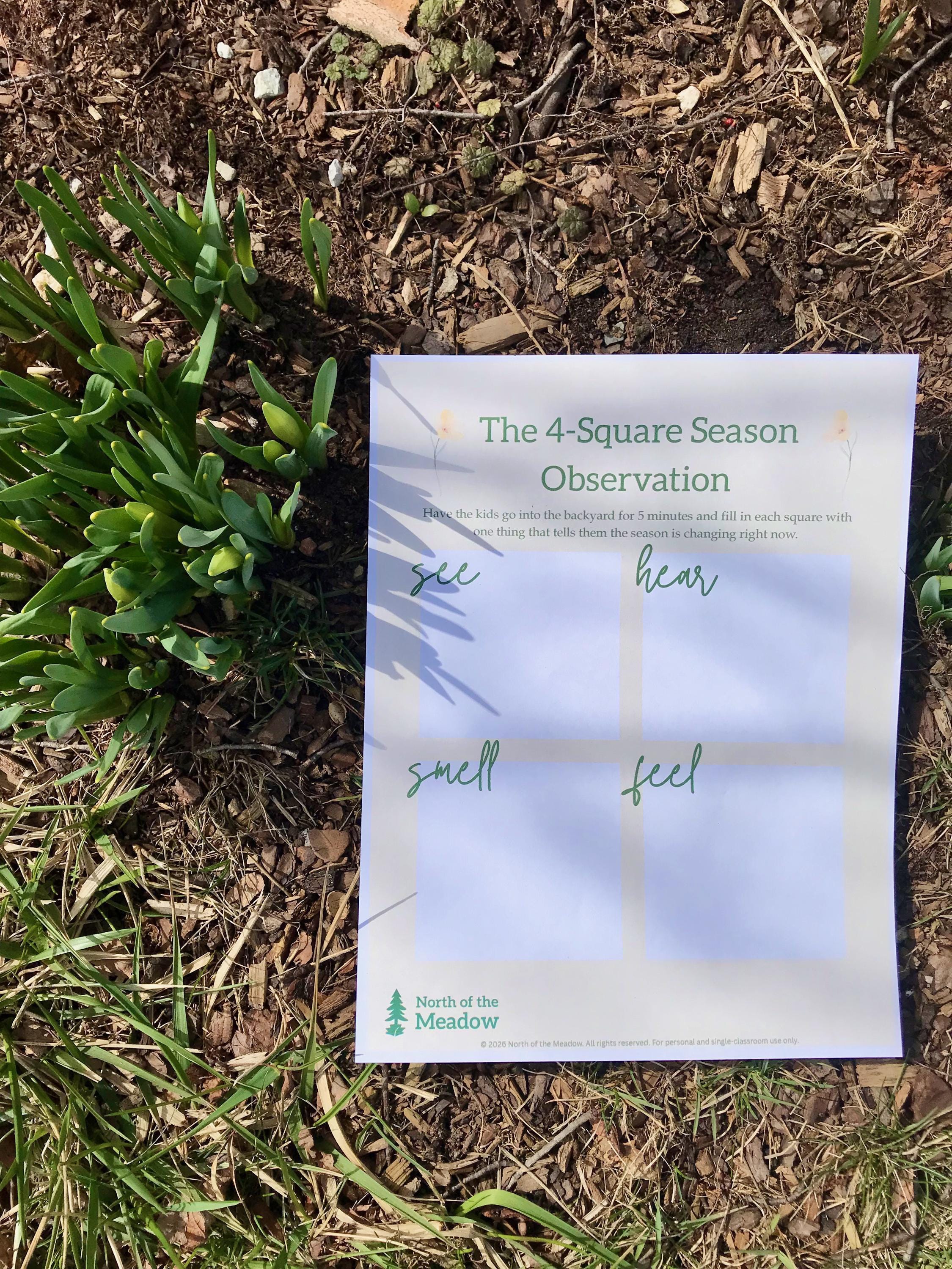 Seasonal Observation Chart | Charlotte Mason Nature Study, Homeschool ...