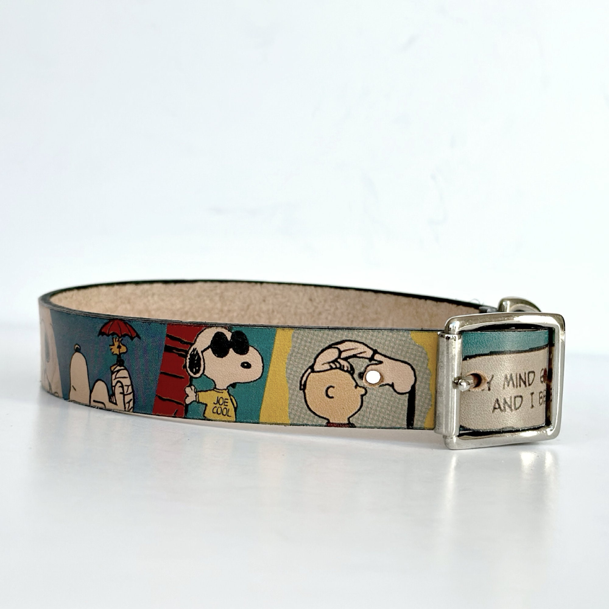 Dog Collar Cartoon