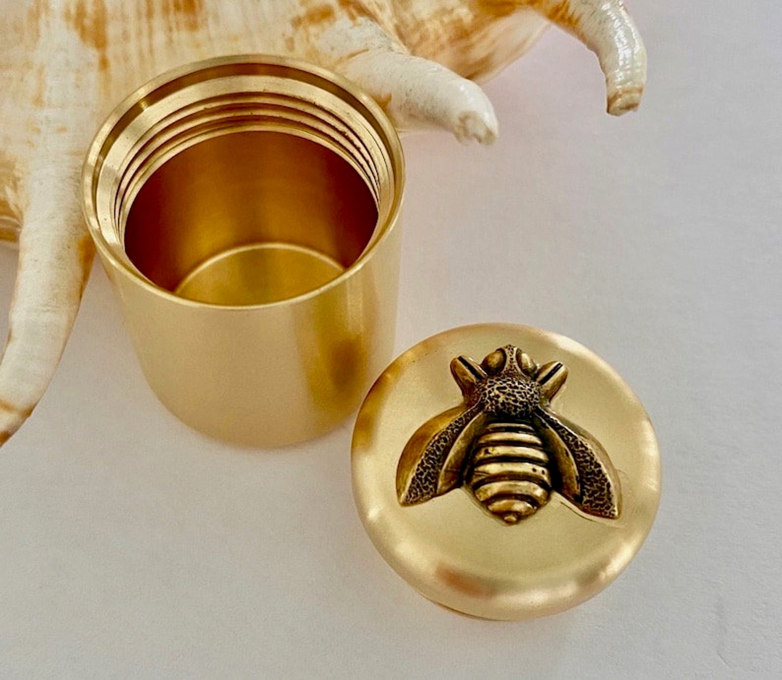 Bumblebee Pill Box, Birth Control Case, Pill Case, Pill Organizer ...