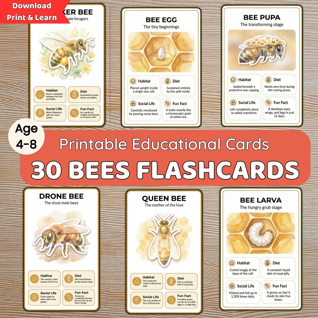 30 Printable Bee Flashcards for Kids | Insect Learning | Preschool ...