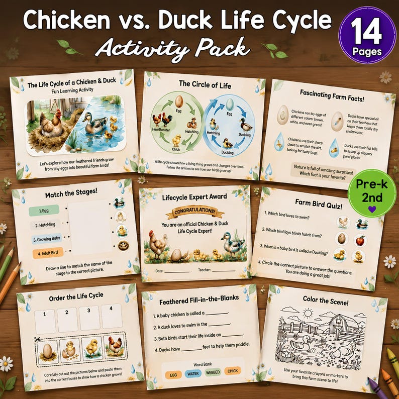 Chicken Vs. Duck: Life Cycle Comparison Study | 14 No-prep Science ...