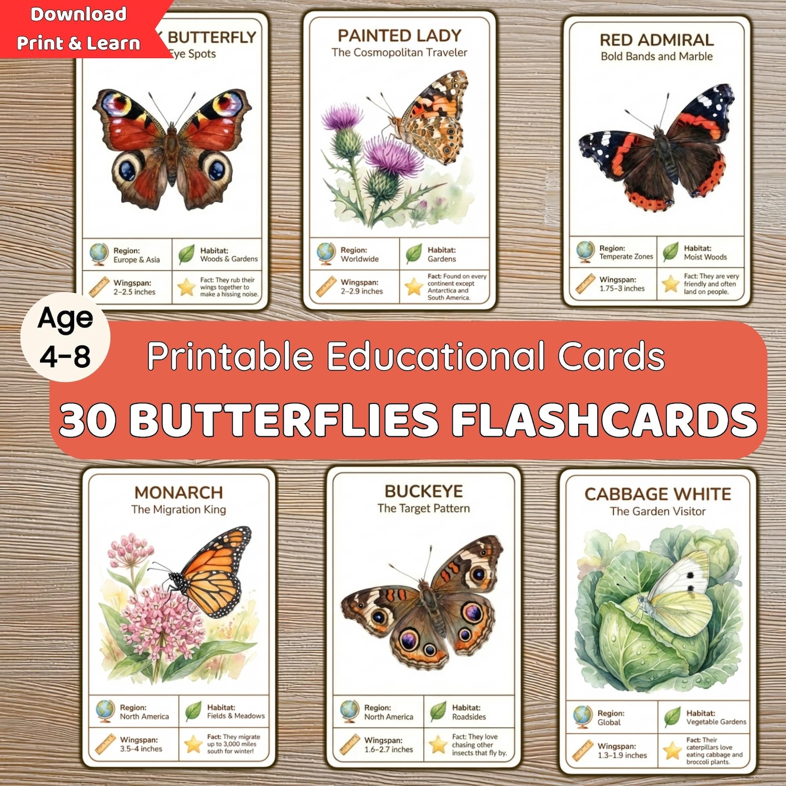 Butterfly Species Flashcards for Kids | 30 Printable Preschool Science ...