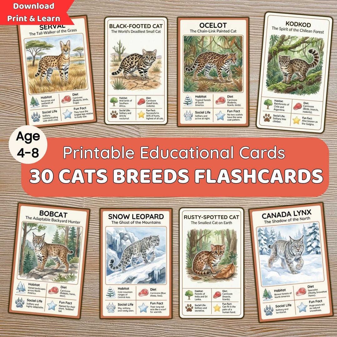 30 Cat Breeds Flashcards Printable | Domestic Cat Species Learning ...
