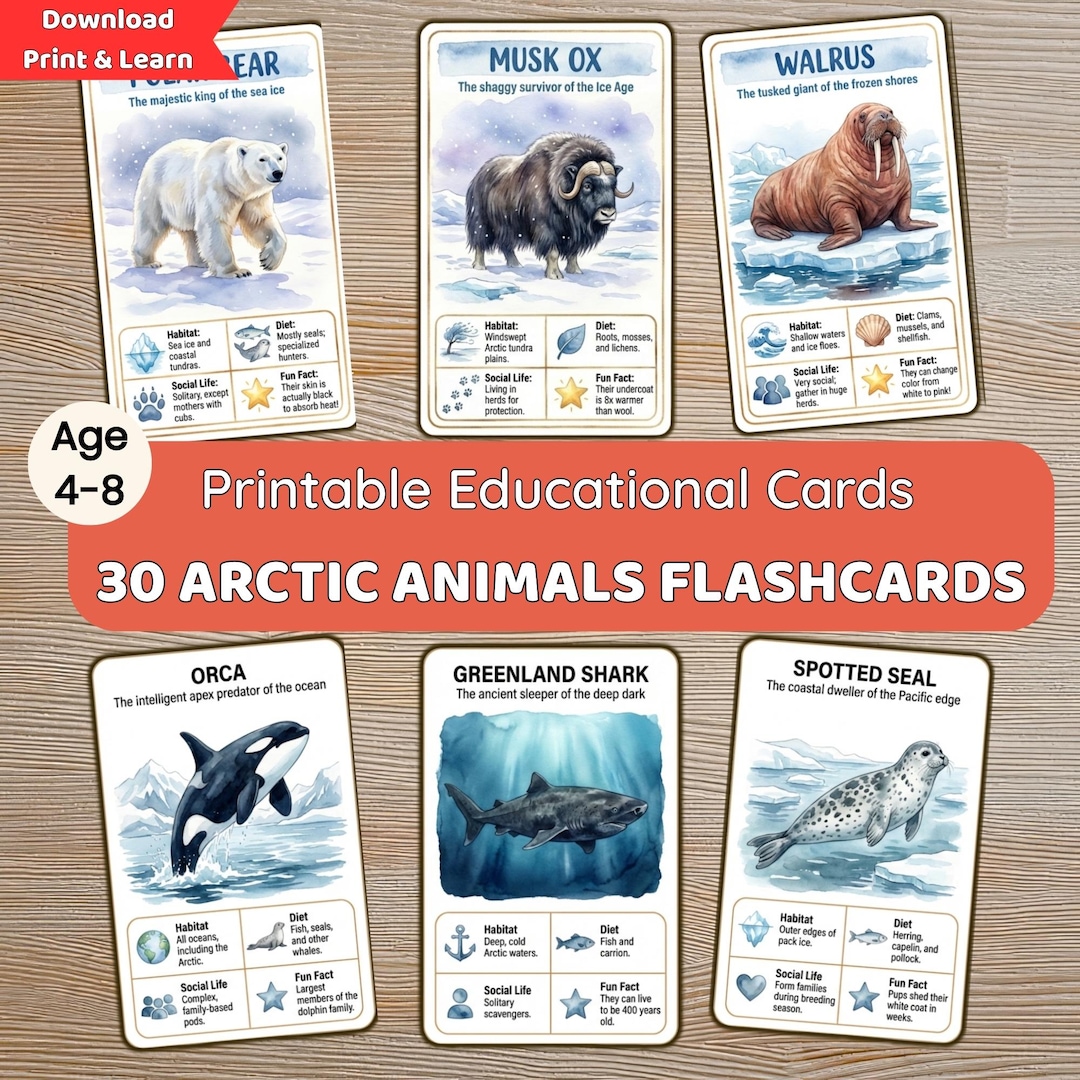 30 Arctic Animals Flashcards Printable | Polar Bear, Seal & Penguin ...