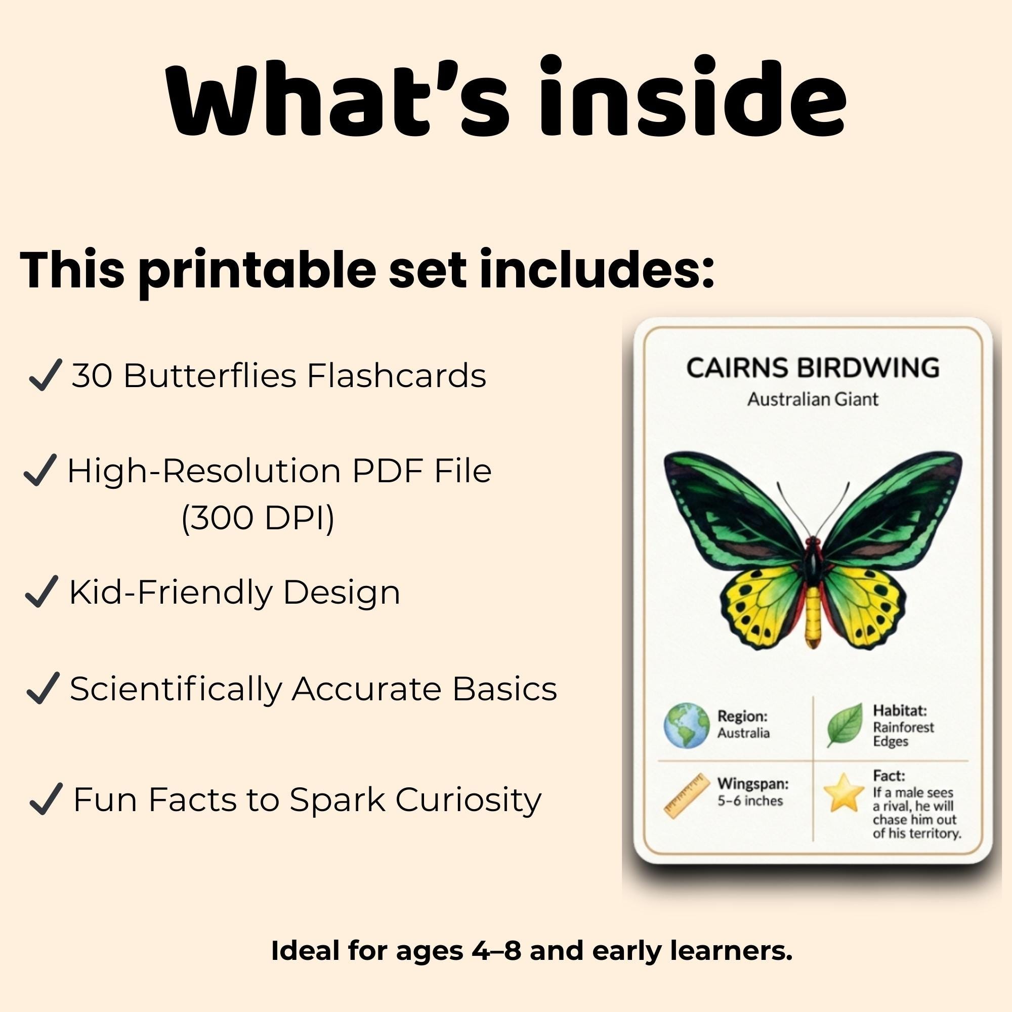 Butterfly Species Flashcards for Kids | 30 Printable Preschool Science ...