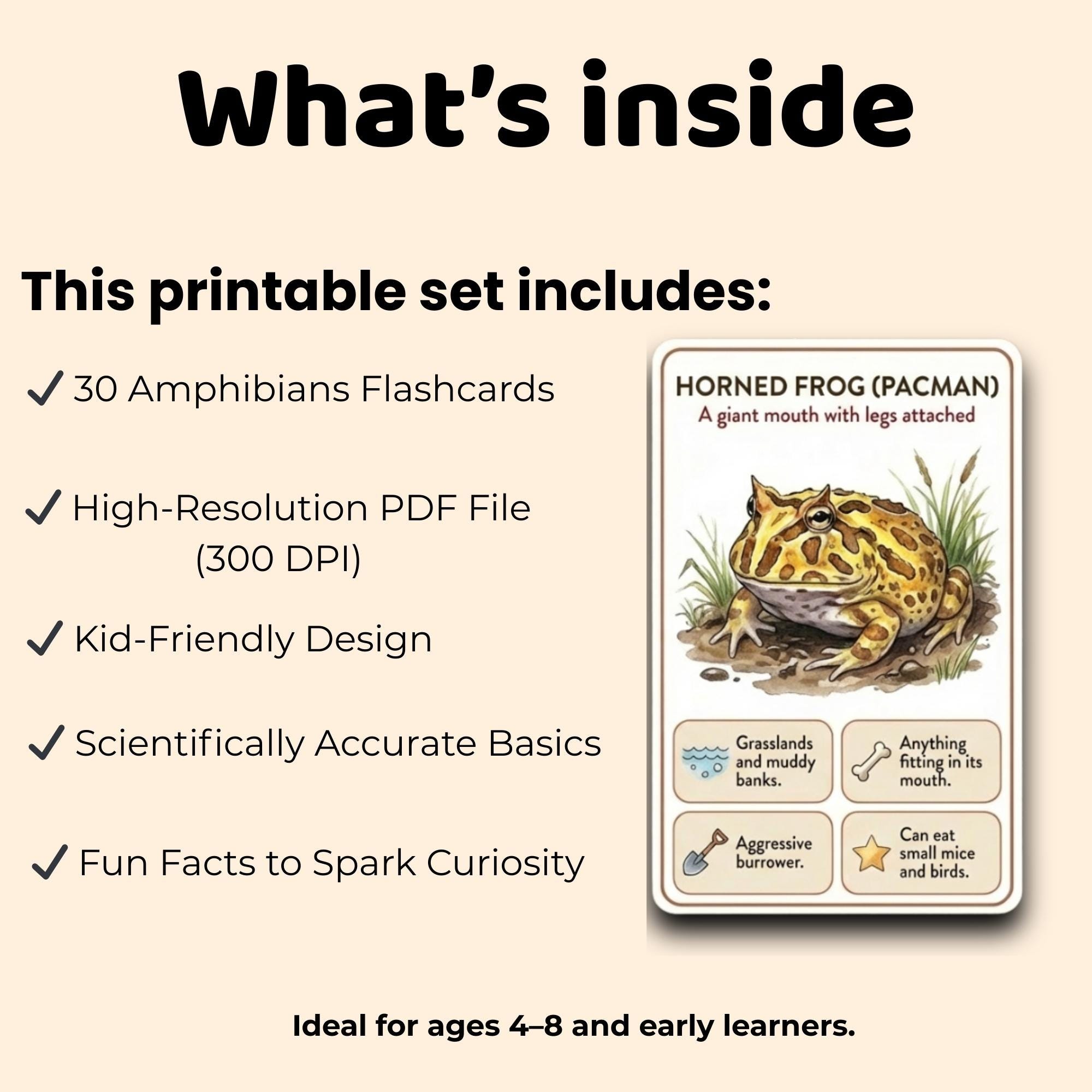 30 Amphibians Flashcards Printable | Frog Salamander Newt Learning ...