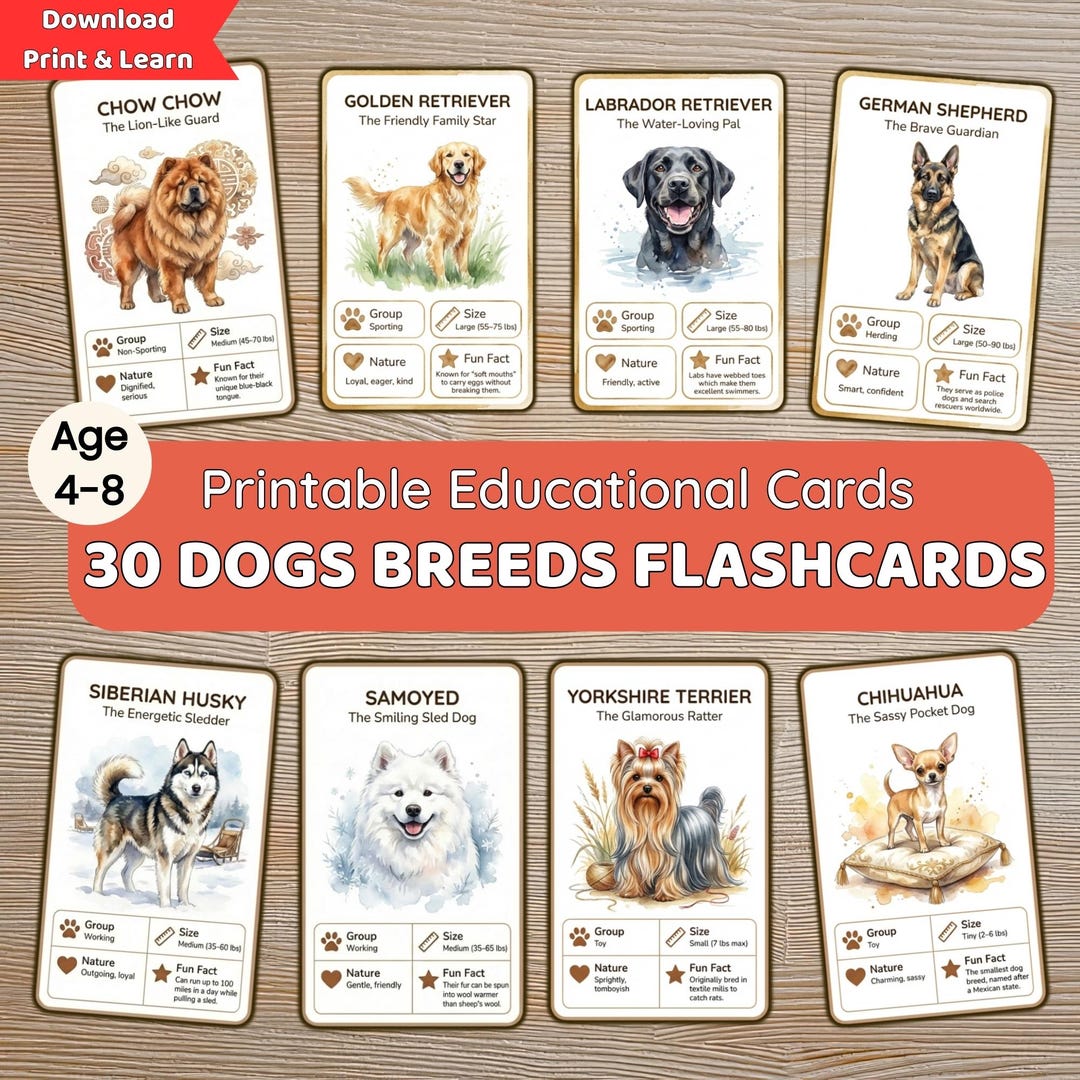 Dog Breeds Flashcards for Kids | Printable Animal Learning Cards (PDF ...
