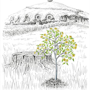 Sam's Mallorn Tree Sapling – Signed Art Print - J. R. R. Tolkien ...