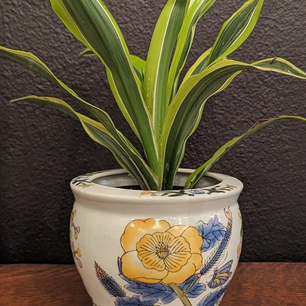 Chinese Planter Pots - Etsy