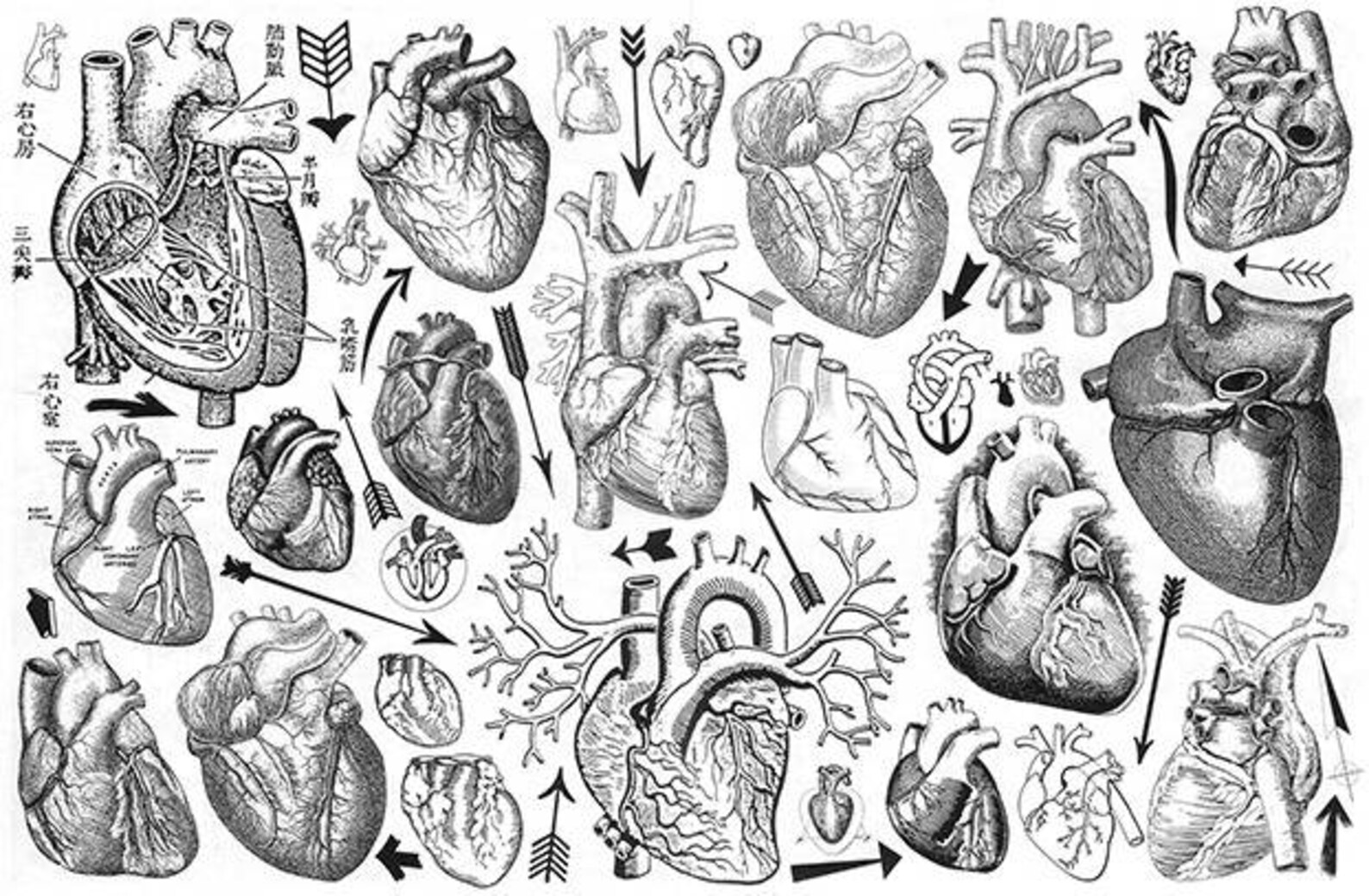 Crap Hound 5: Hands, Hearts & Eyes! Crafts / Collage / Advertising ...