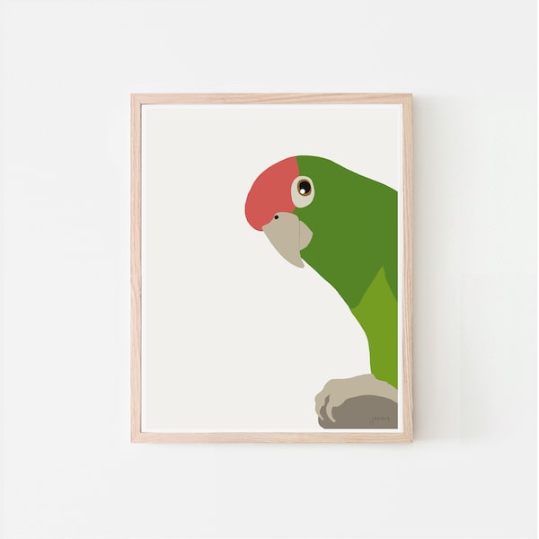 Parrot Art Print - Etsy