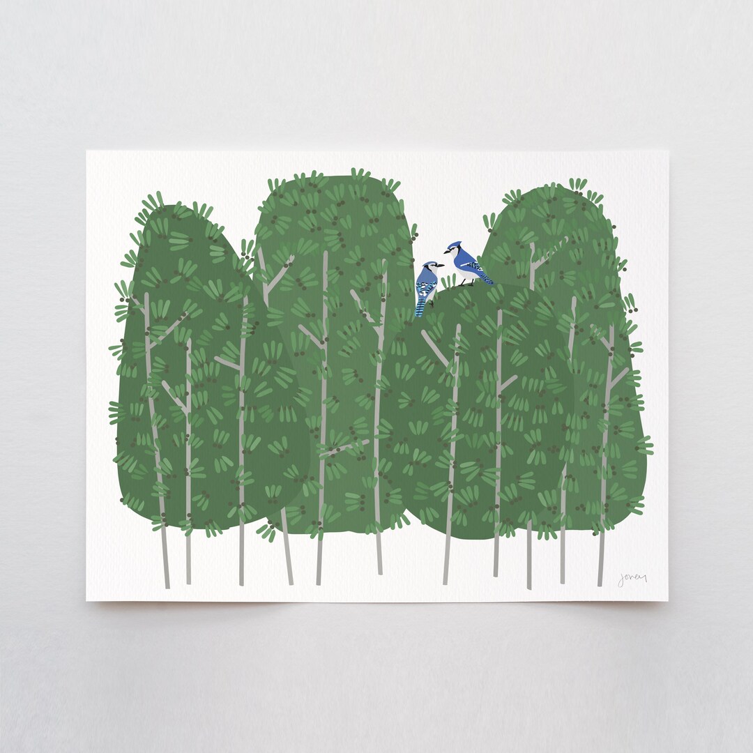 Blue Jays Art Print: Signed Abstract Bird Illustration - 240420 - Etsy