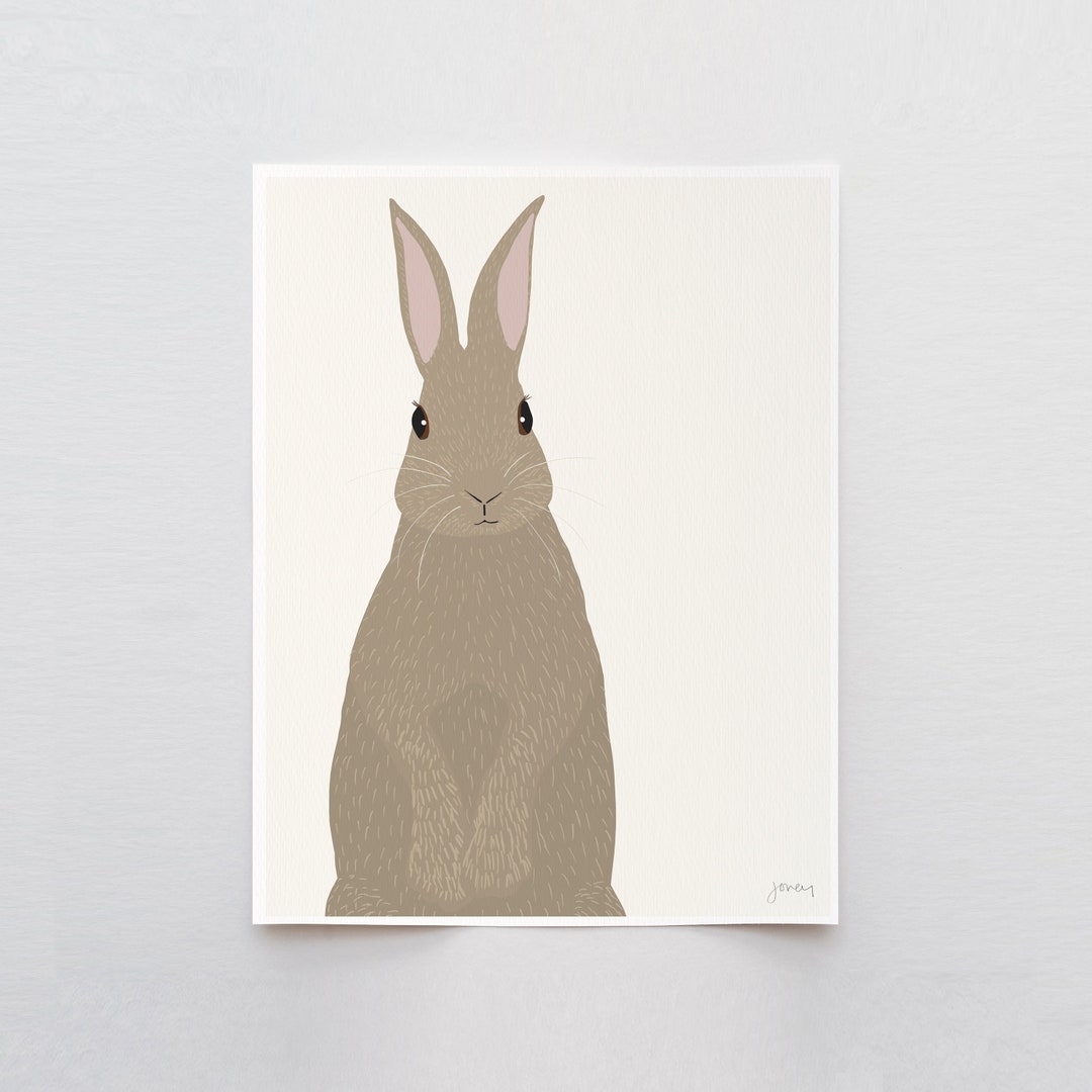 Sitting Cottontail Rabbit Art Print Signed and Printed by Jorey Hurley ...