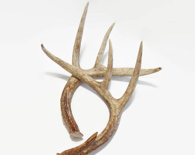 Vintage Deer Antlers Large Eight Point Rustic Pair Natural - Etsy