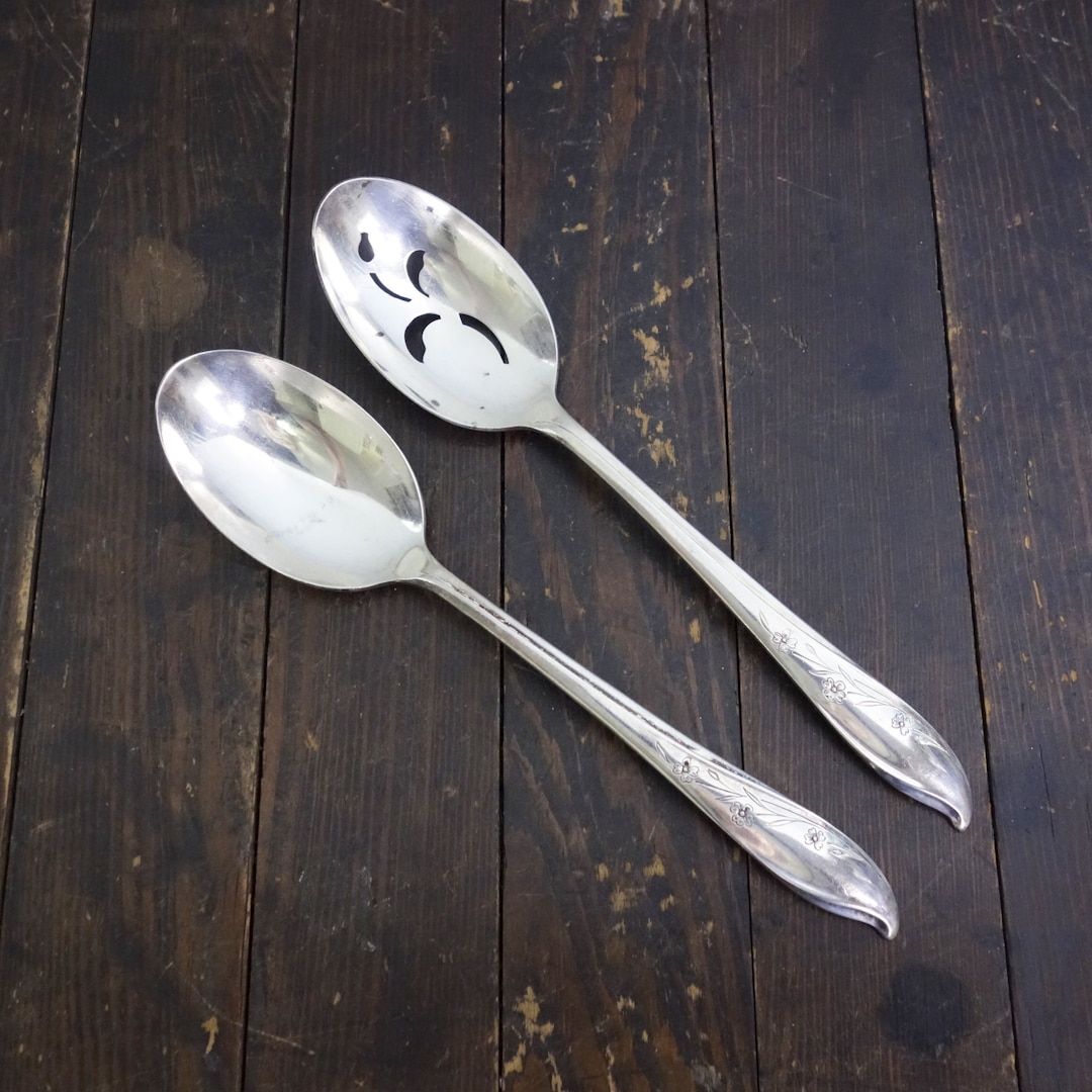 Two Vintage Silverplate Serving Spoons, Mid Century Oneida Springtime ...