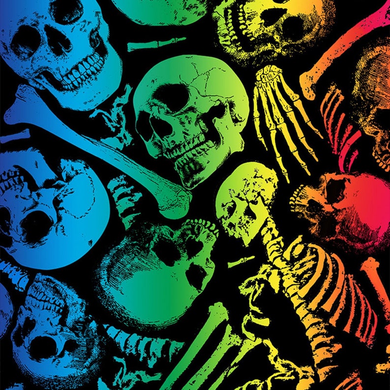 Rainbow Skeleton Bones Skulls - Etsy