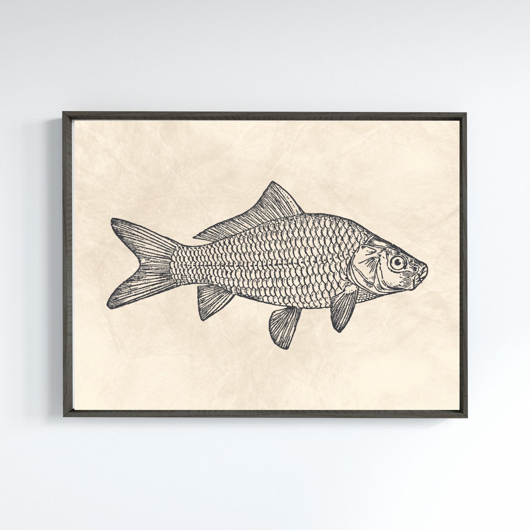 Carp Print Unframed Vintage Style Fish Print. - Etsy