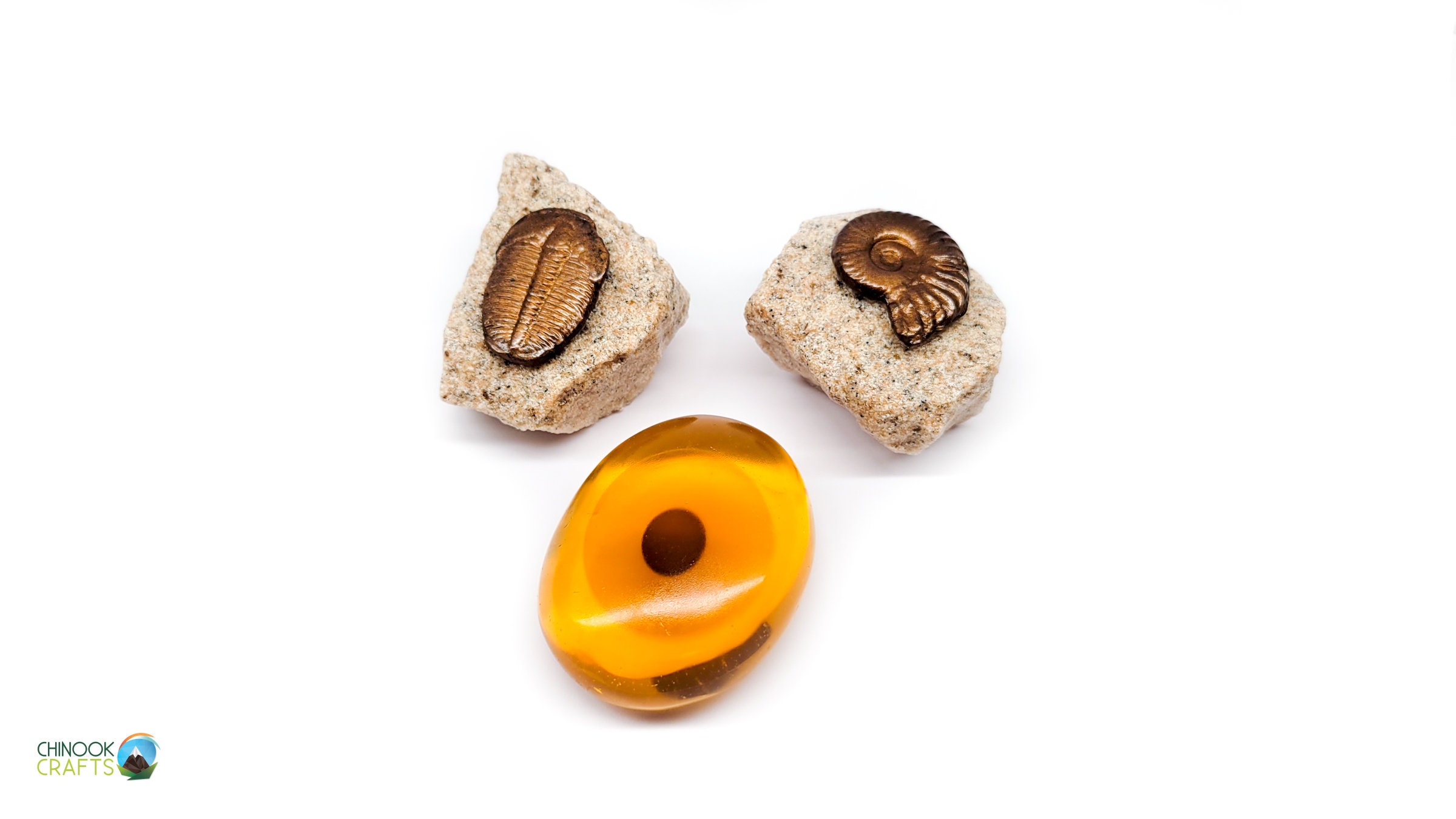 Pokemon Old Amber Fossil | Etsy