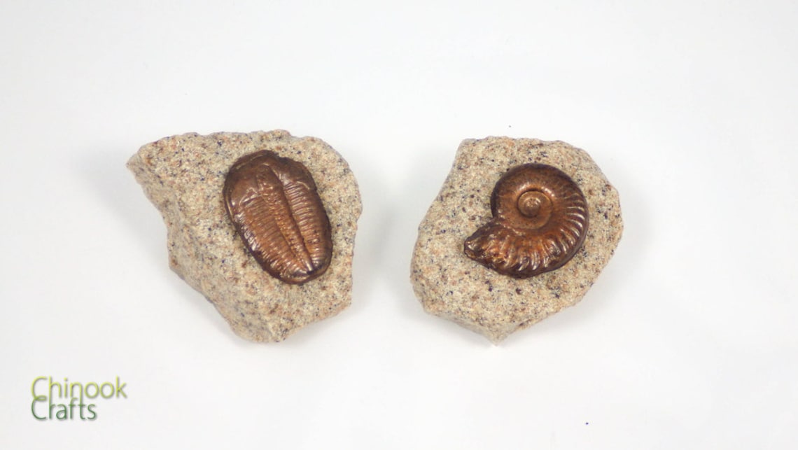 Pokemon Helix Fossil - Etsy