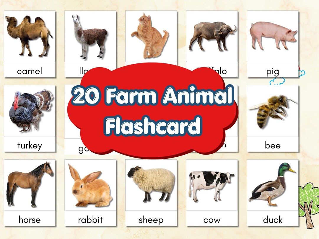 Montessori Farm Animals Flashcards, Real Farm Animal Pictures ...