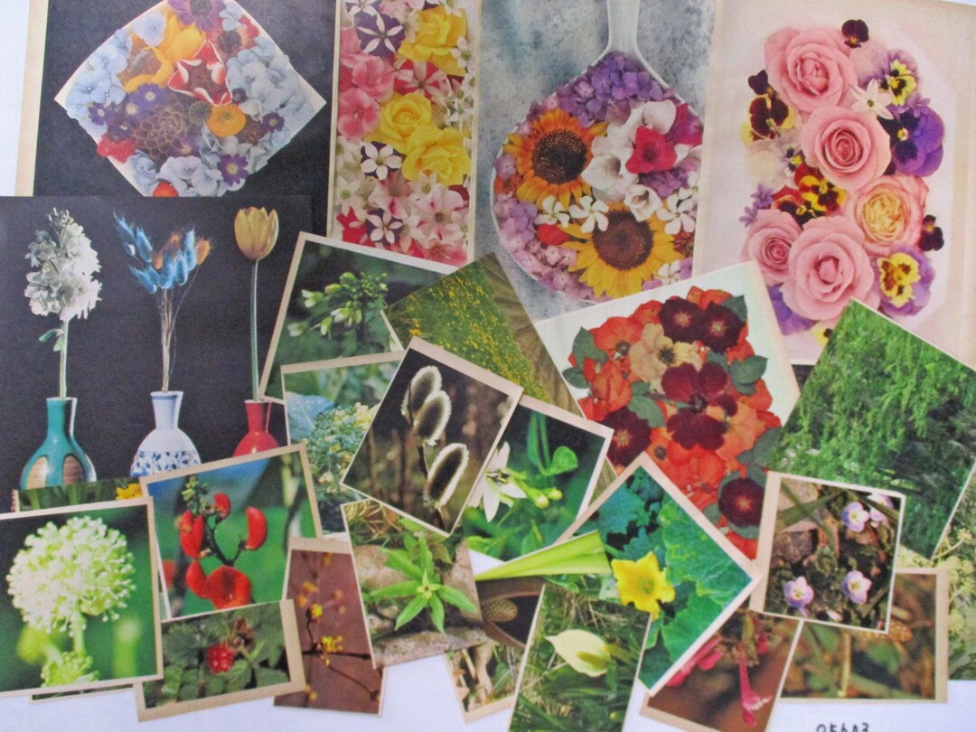 1950 to 60s 25vintage Japanese Cut Out Paper Ephemera Collage Scrap ...