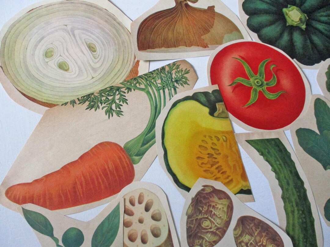 1950 to 60s 13vintage Japanese Cut Out Paper Ephemera Collage Scrap ...