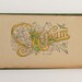 Antique Autograph Album, Early 1900's Album With Birds and Flowers on ...
