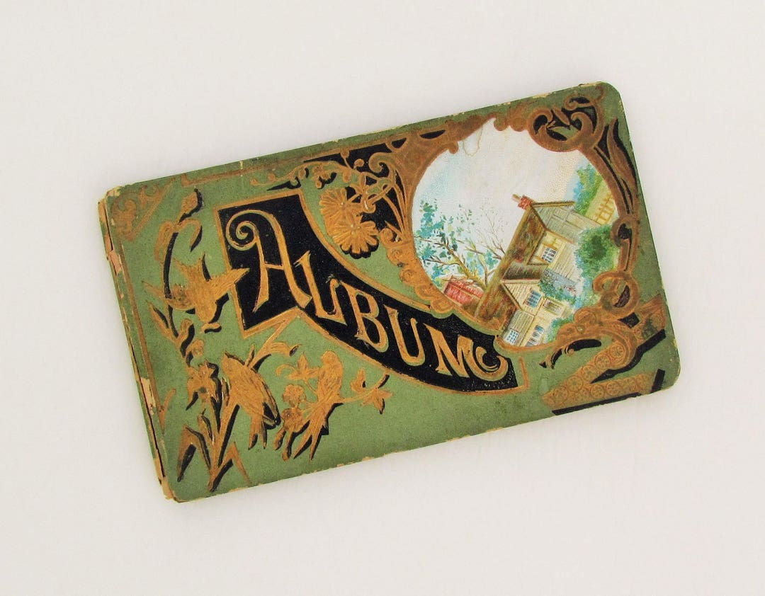 Antique Autograph Album, Early 1900's Album With Birds and Flowers on ...