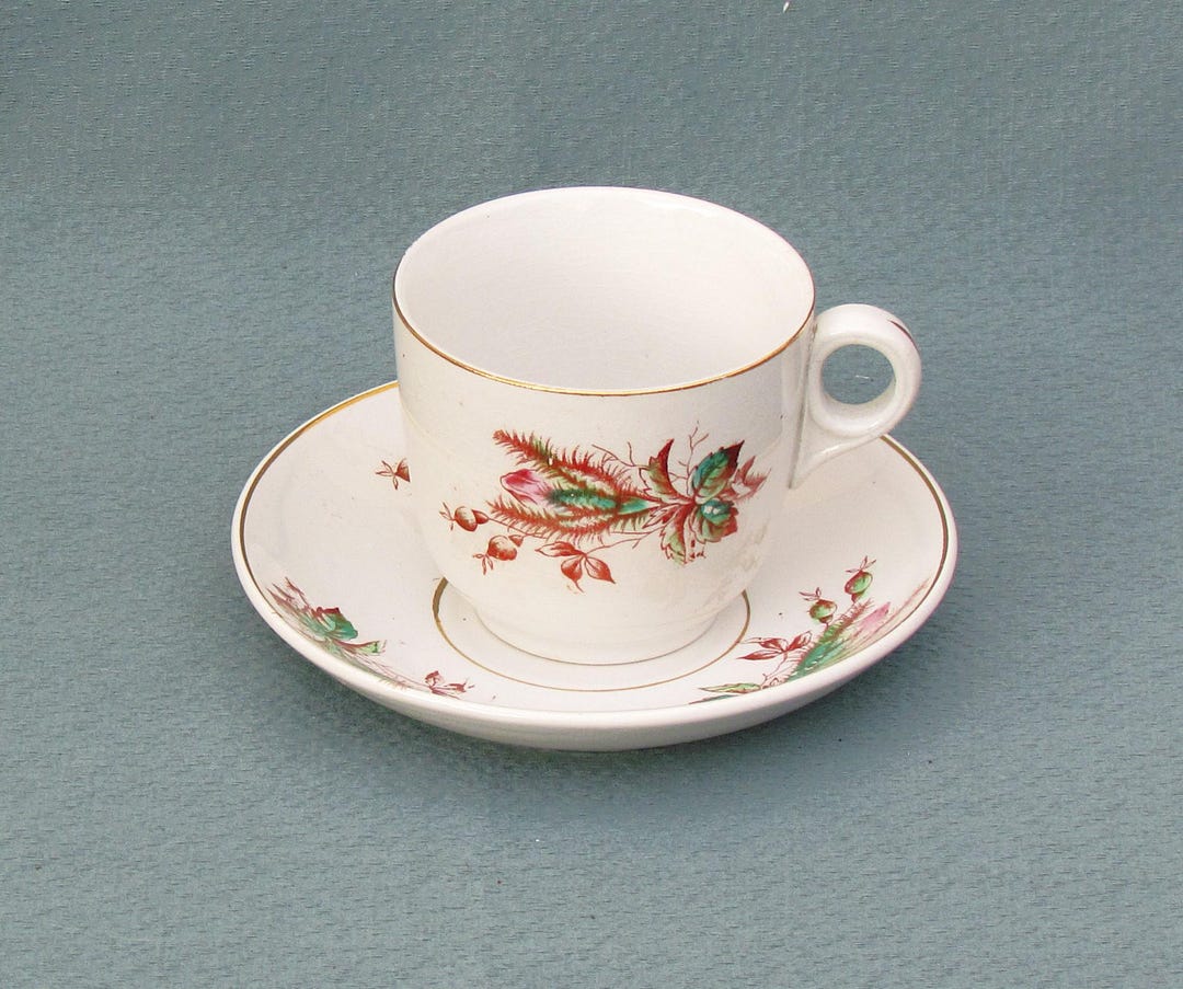 Antique Moss Rose Ironstone Cup and Saucer - Etsy