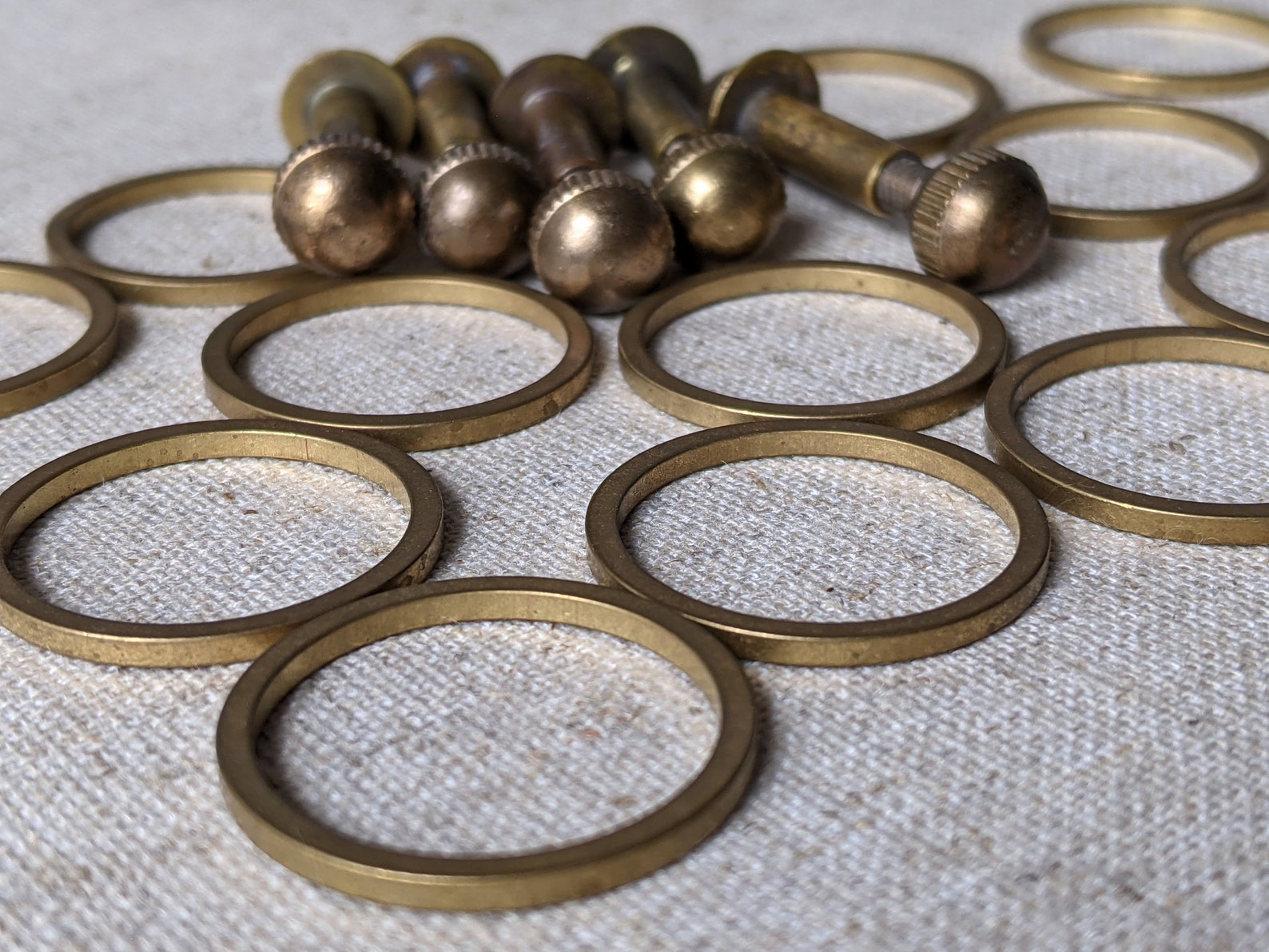 Big Tree Botanical Chart Wall Hanging Canvas Print Raw Wood - Etsy